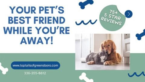 Experience Greensboro: A Guide to Holiday Fun and Activities! - Top ...